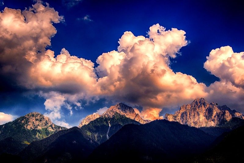 SAP Open-Source Journey - Code Connect 2024 Analysis — Second Phase ...